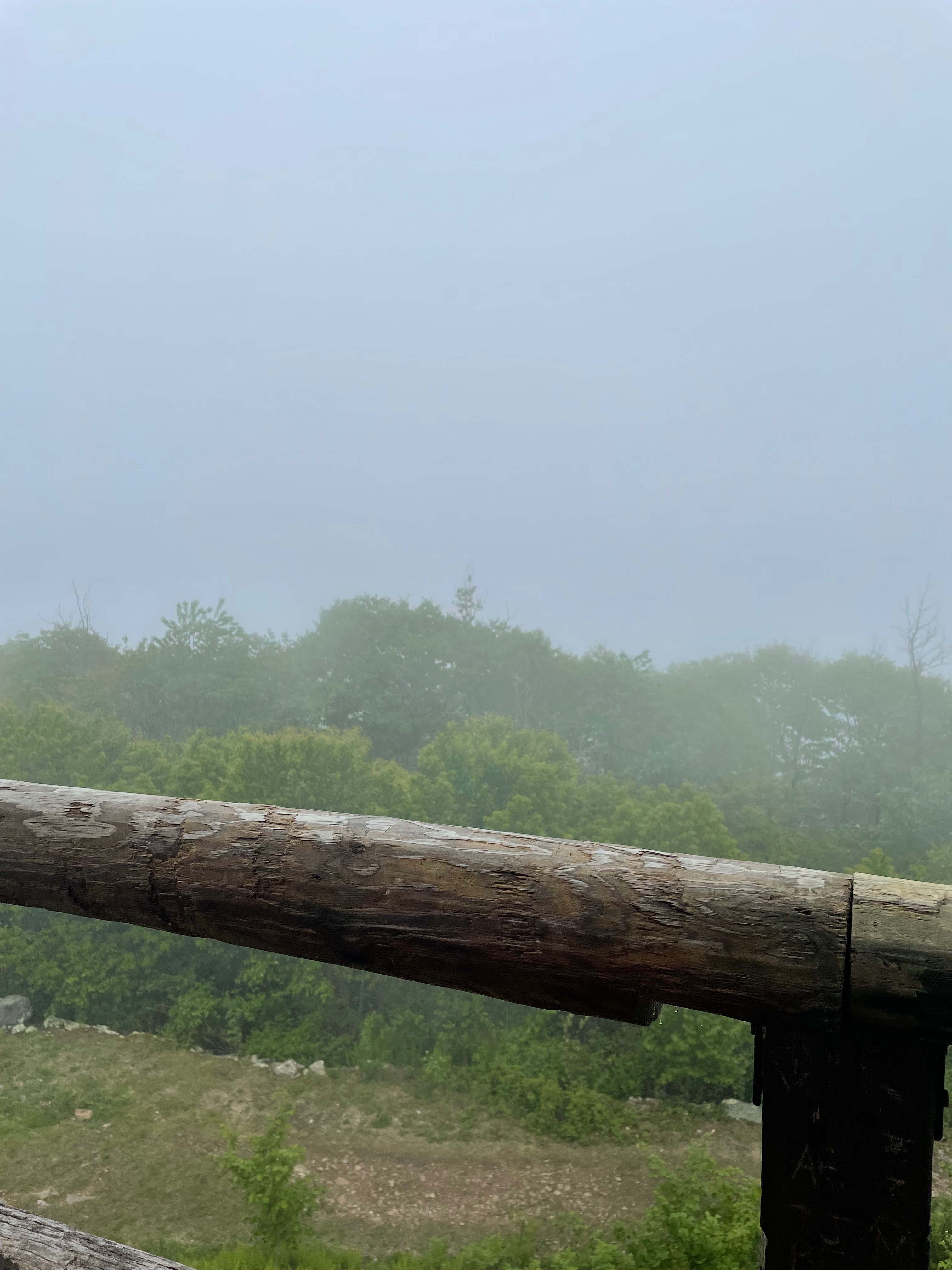 Timothy E. Wahlstrom – https://classic.avantlink.com/affiliate_app ...